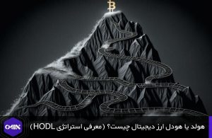 هولد یا هودل ارز دیجیتال چیست؟ (معرفی استراتژی HODL) - بلاگ اوکی اکسچنج